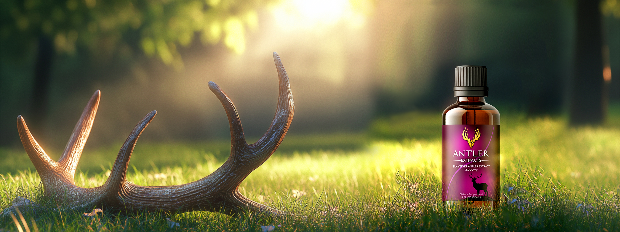 Premium Deer Velvet Antler Extracts | Antler Extracts
